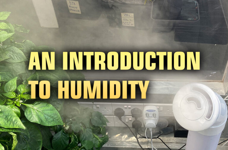 An Introduction to Humidity in Your Growing Environment - The ...