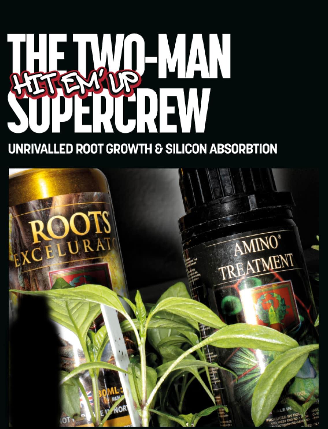 Roots Excelurator Gold 500ml & Amino Treatment Duo Pack - The ...